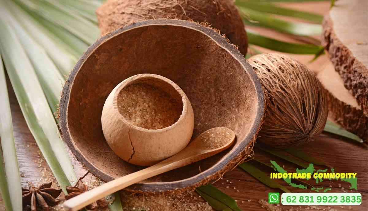 Exploring the Richness of Indonesian Coconut Products: A Treasure Trove ...